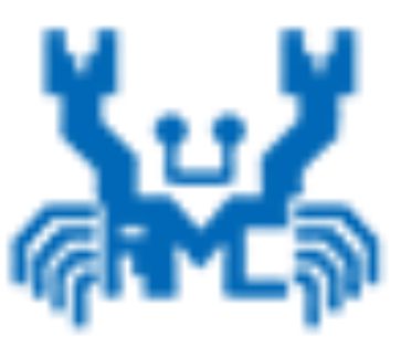 Realtek Icon